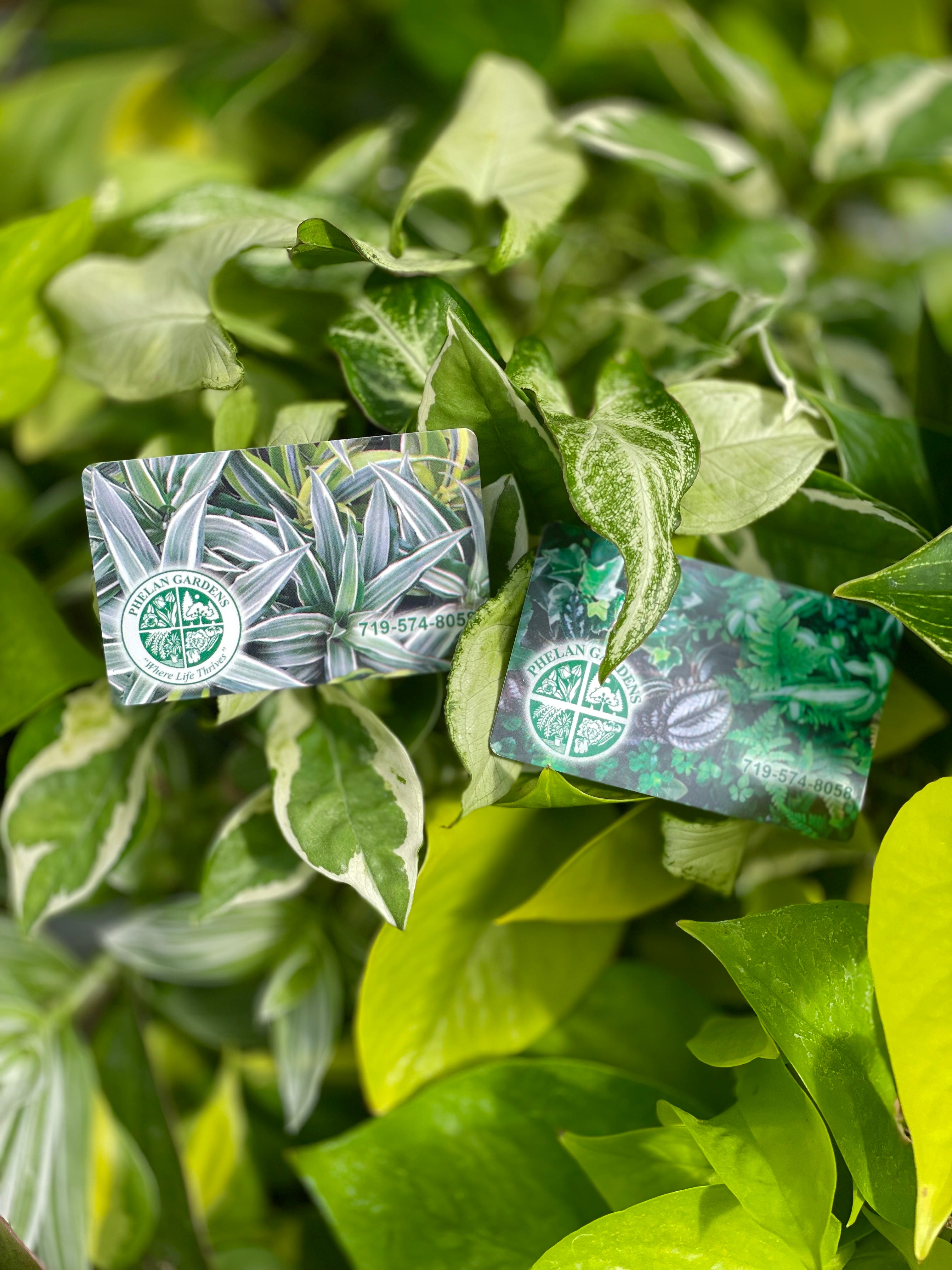 Phelan Gardens – In-Store Gift Card