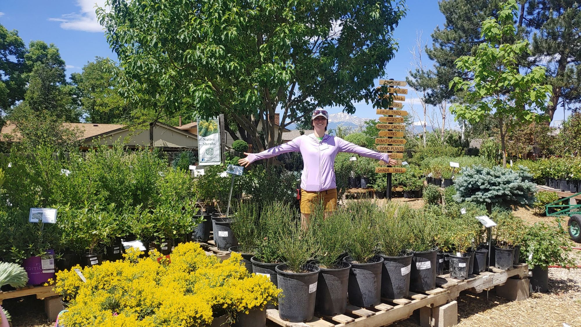 Phelan Gardens – Colorado Springs Greenhouse, Plant Nursery & Garden ...