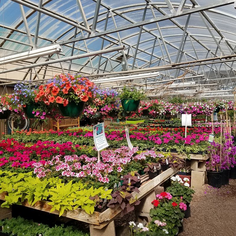 Phelan Gardens – About